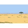 Savannah Biome – Physical Features | Wildlife | Climate