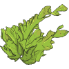 Seaweed Display Cut-Out (Teacher-Made) - Twinkl