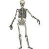 Human Skeleton KS2 Resource Pack (teacher made) - Twinkl