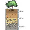 Make Your Own Edible Soil Layers Activity PowerPoint & Google Slides